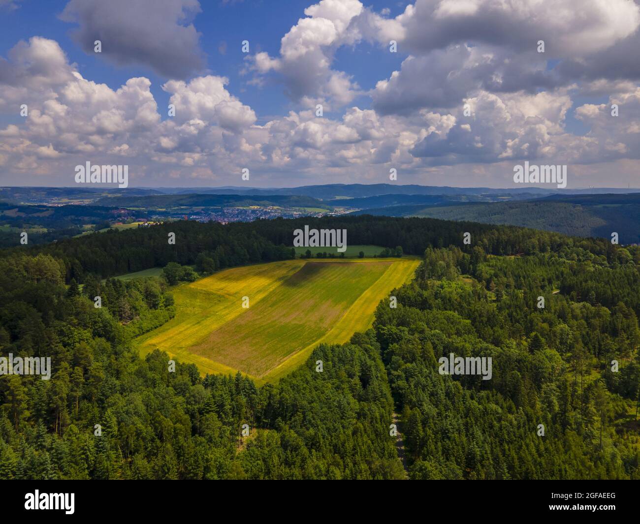 Park pieszyce hi-res stock photography and images - Alamy