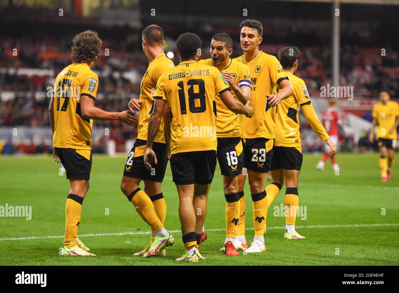 Morgan gibbs white wolves hi-res stock photography and images - Alamy