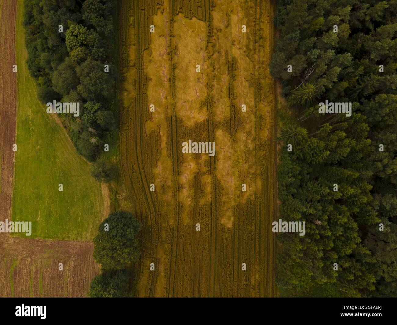 Aerial landscape of fresh farm lands Stock Photo - Alamy