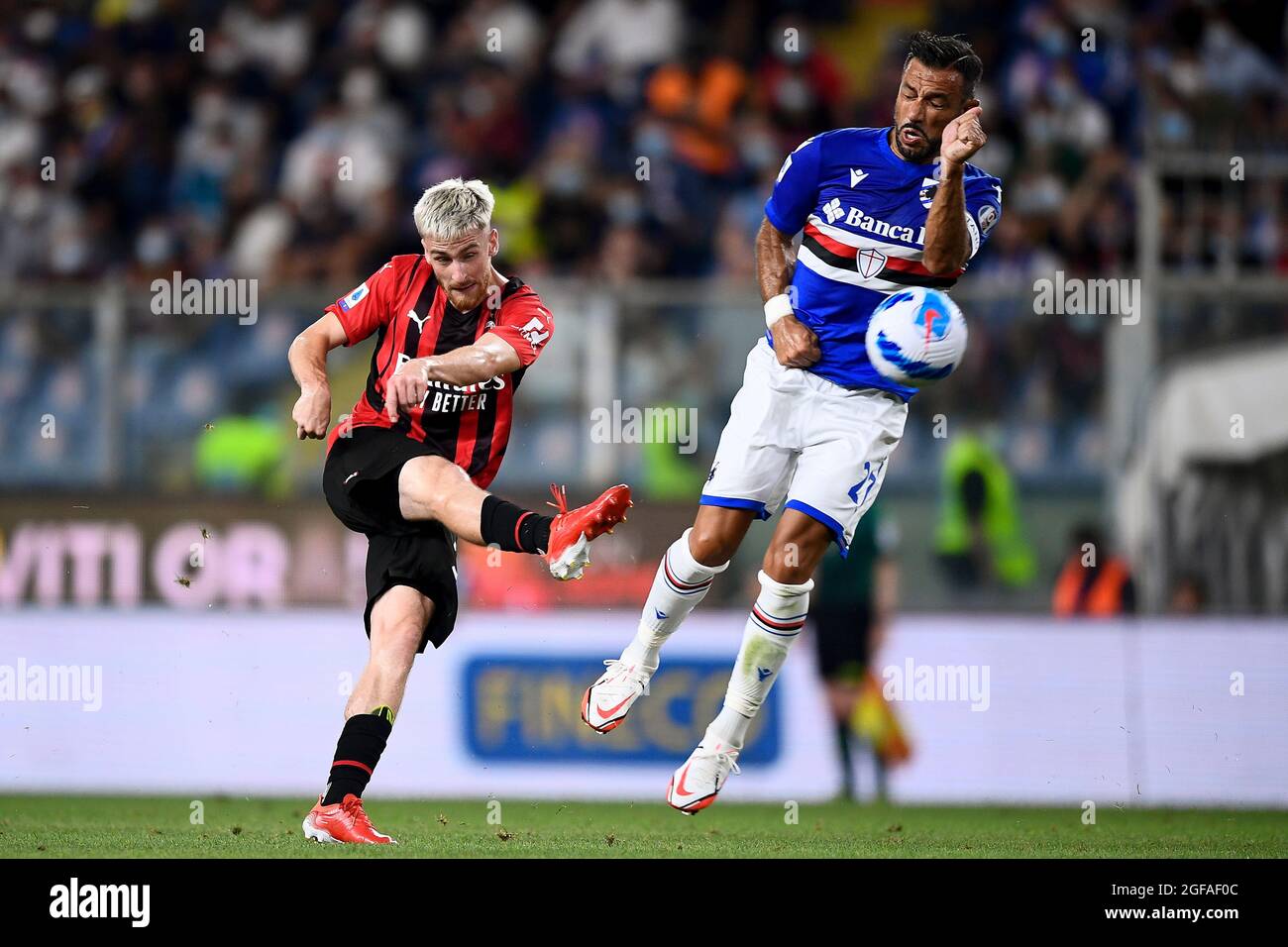 Fabio quagliarella italy hi-res stock photography and images - Alamy
