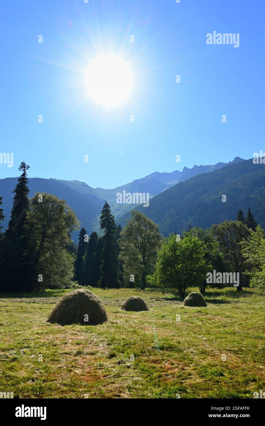 Haystacks in the sun hi-res stock photography and images - Alamy