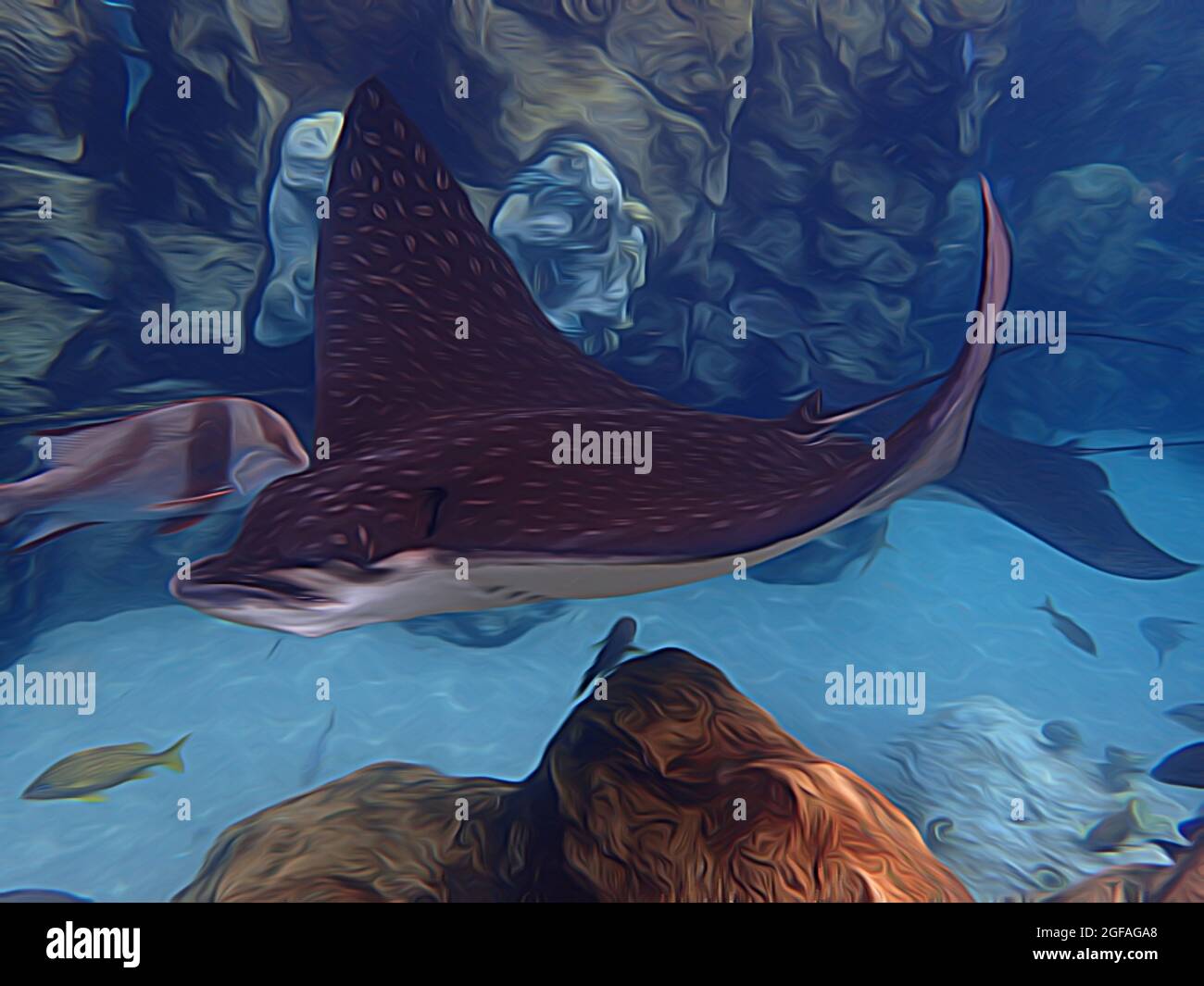 An illustration of an Eagle Ray swimming over a rock reef Stock Photo ...
