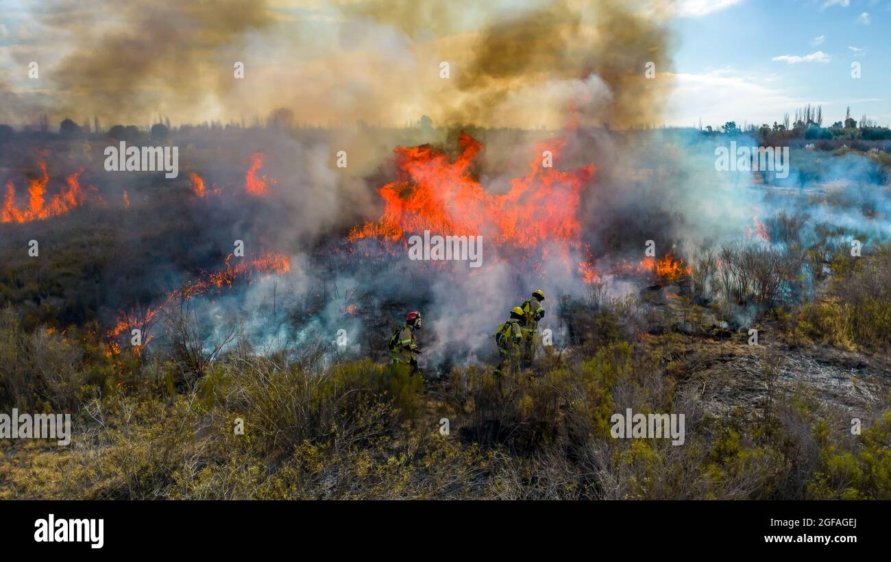 Man putting out fire forest hi-res stock photography and images - Alamy