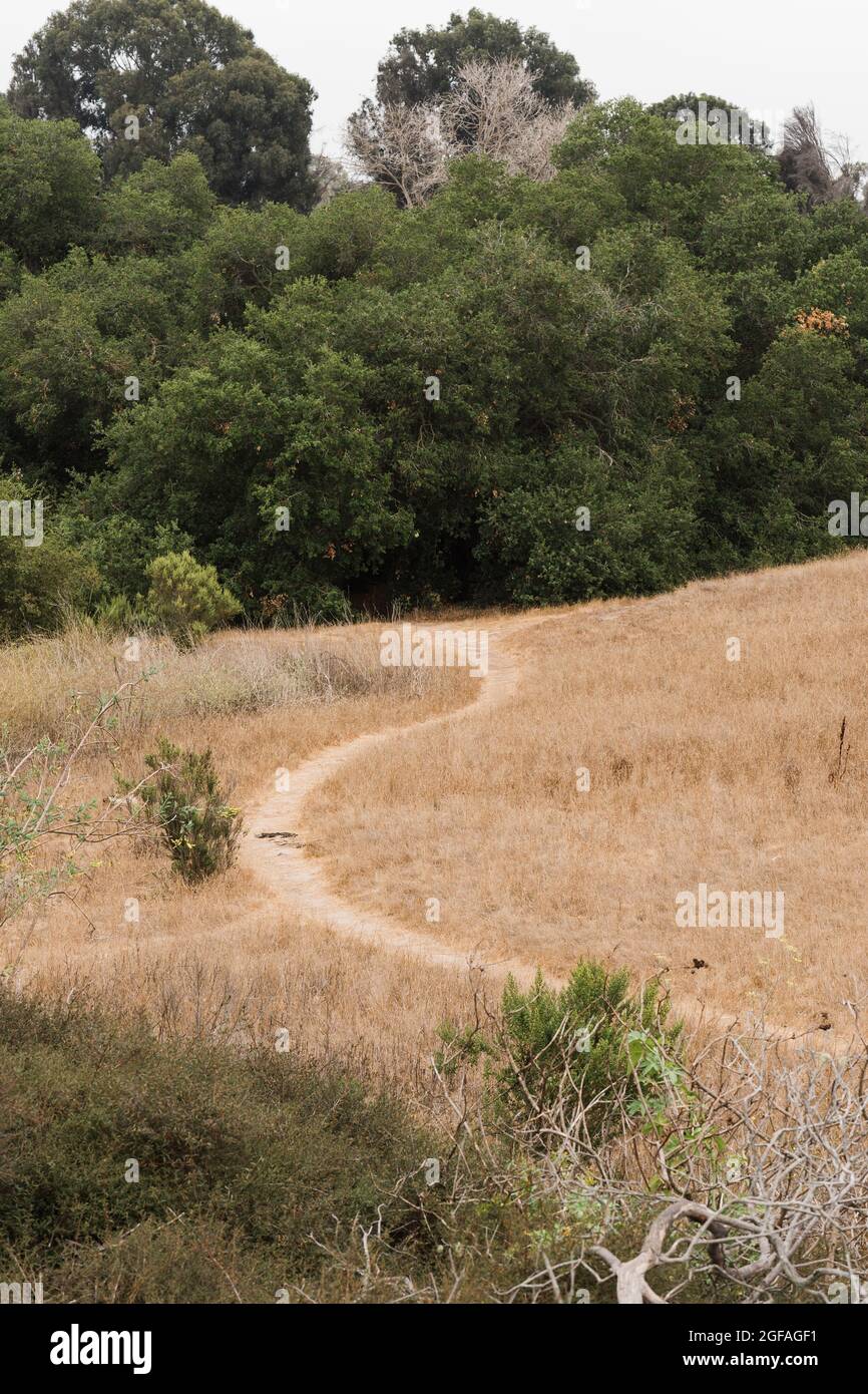 Small path in a mountain field Stock Photo - Alamy
