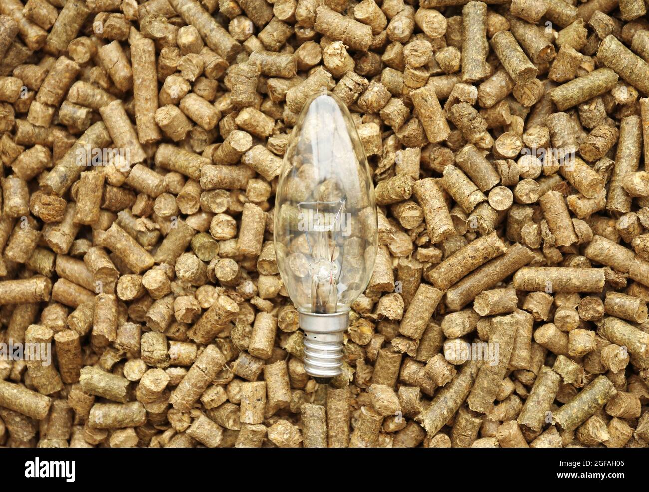 Bulb on solid wooden pellets background Stock Photo - Alamy