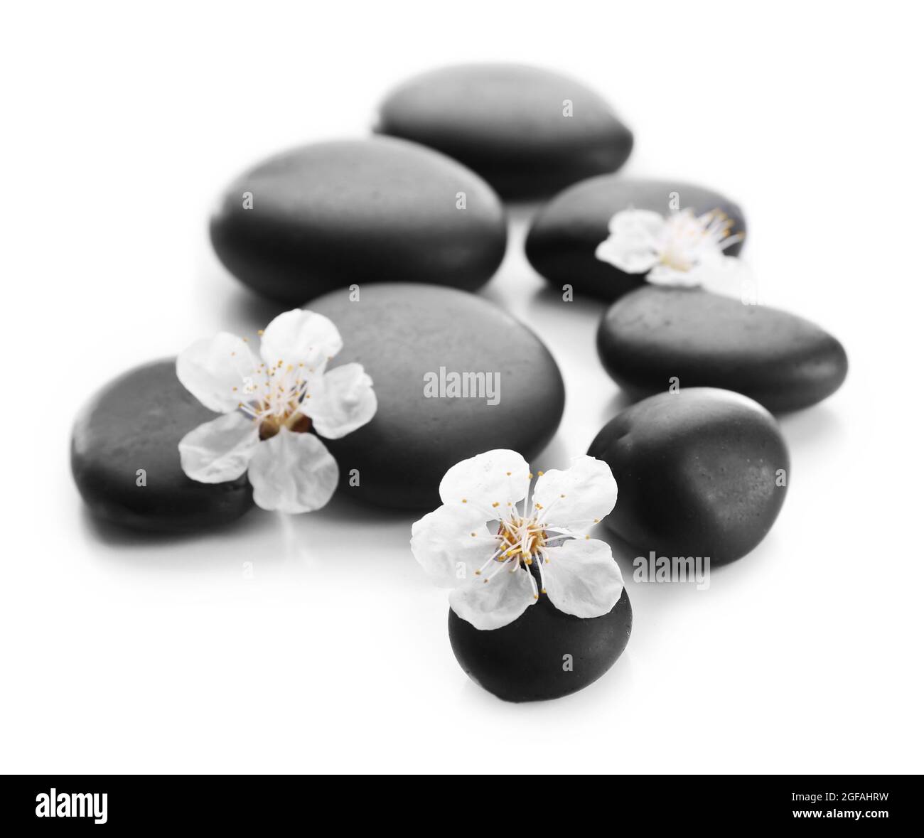 Spa stones with spring flowers on white background Stock Photo - Alamy