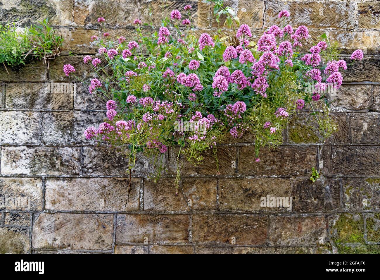 Rustic garden rural village - garden ideas and small garden design ...