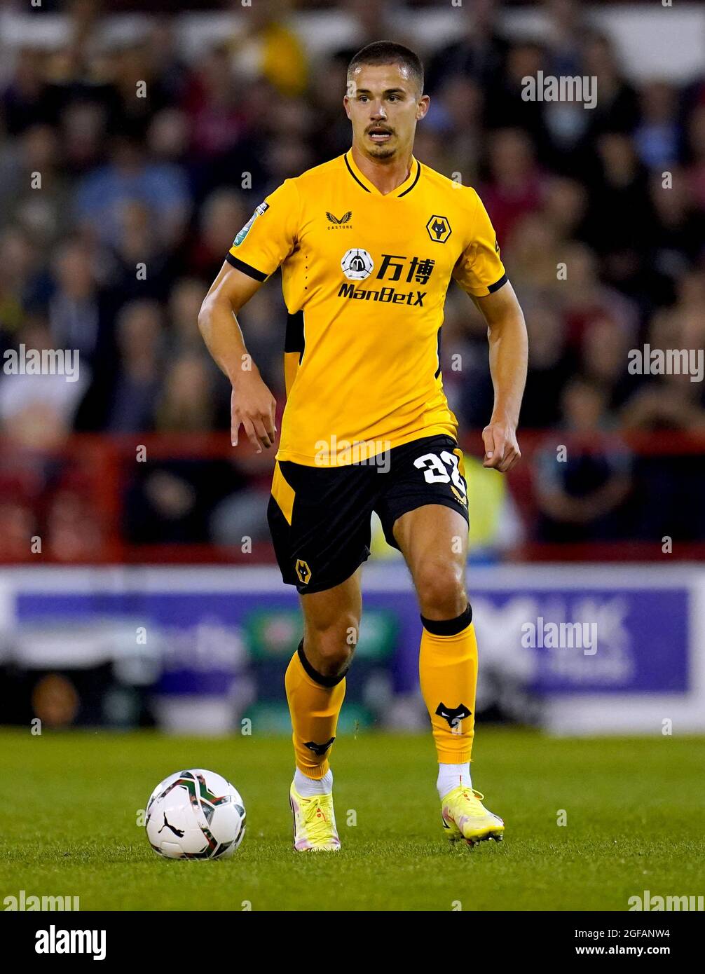 Dendoncker wolves hi-res stock photography and images - Alamy