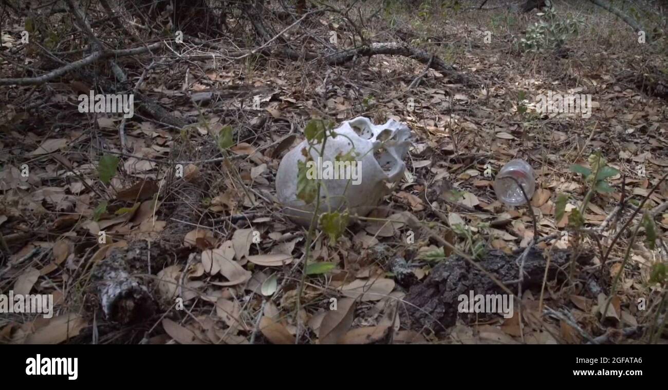 MISSING IN BROOKS COUNTY, 2020. © Sunlight Factory / Courtesy Everett ...