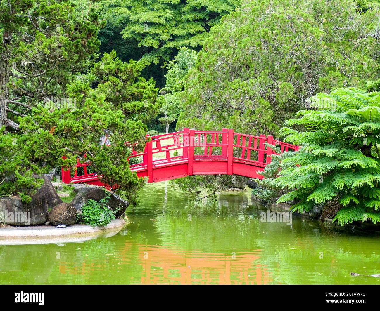 View of a red bridge over the river in the beautiful forest Stock Photo ...