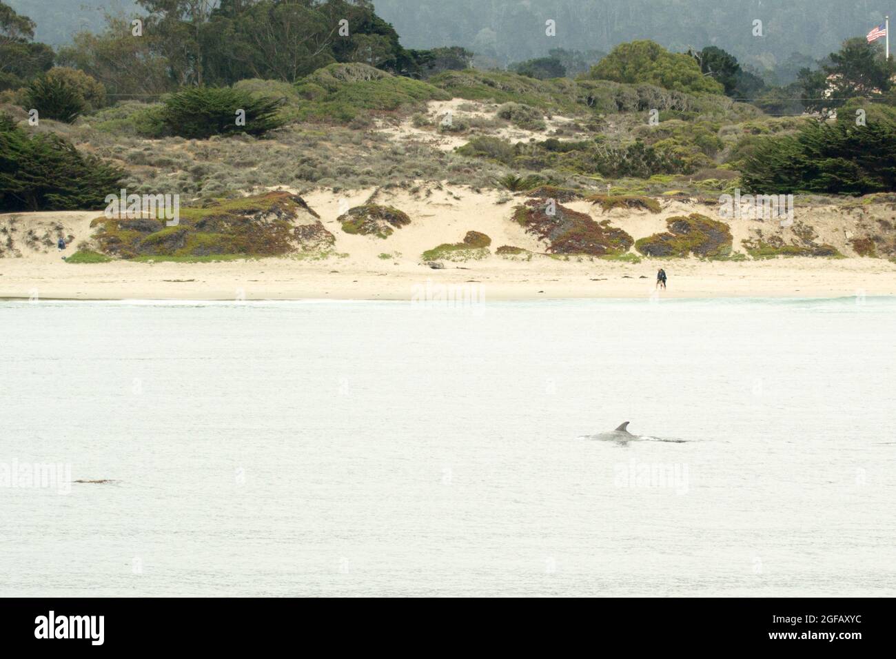 Fort ord hi-res stock photography and images - Alamy