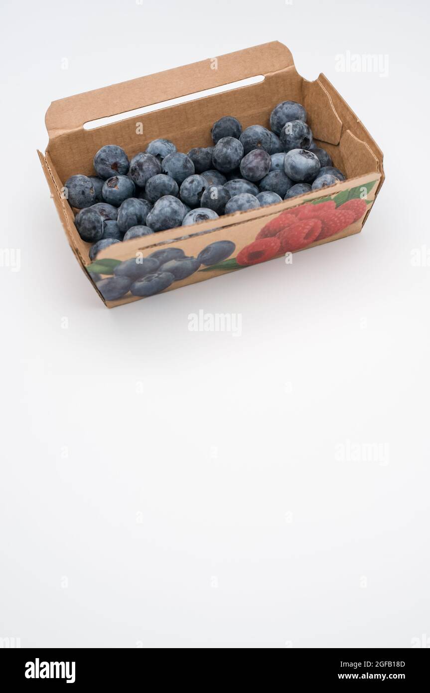 Top view fresh blueberry inside a paper box isolated on a white ...