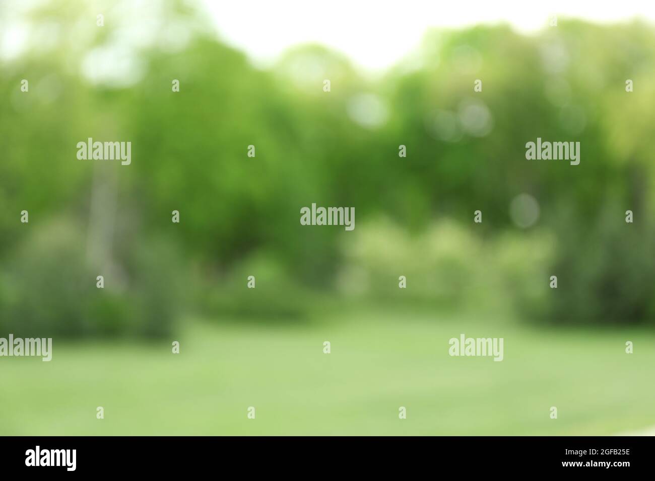 Blurred nature background Stock Photo - Alamy