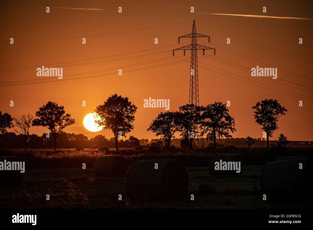 Beautiful view of a sandy field surrounded by trees gleaming against ...