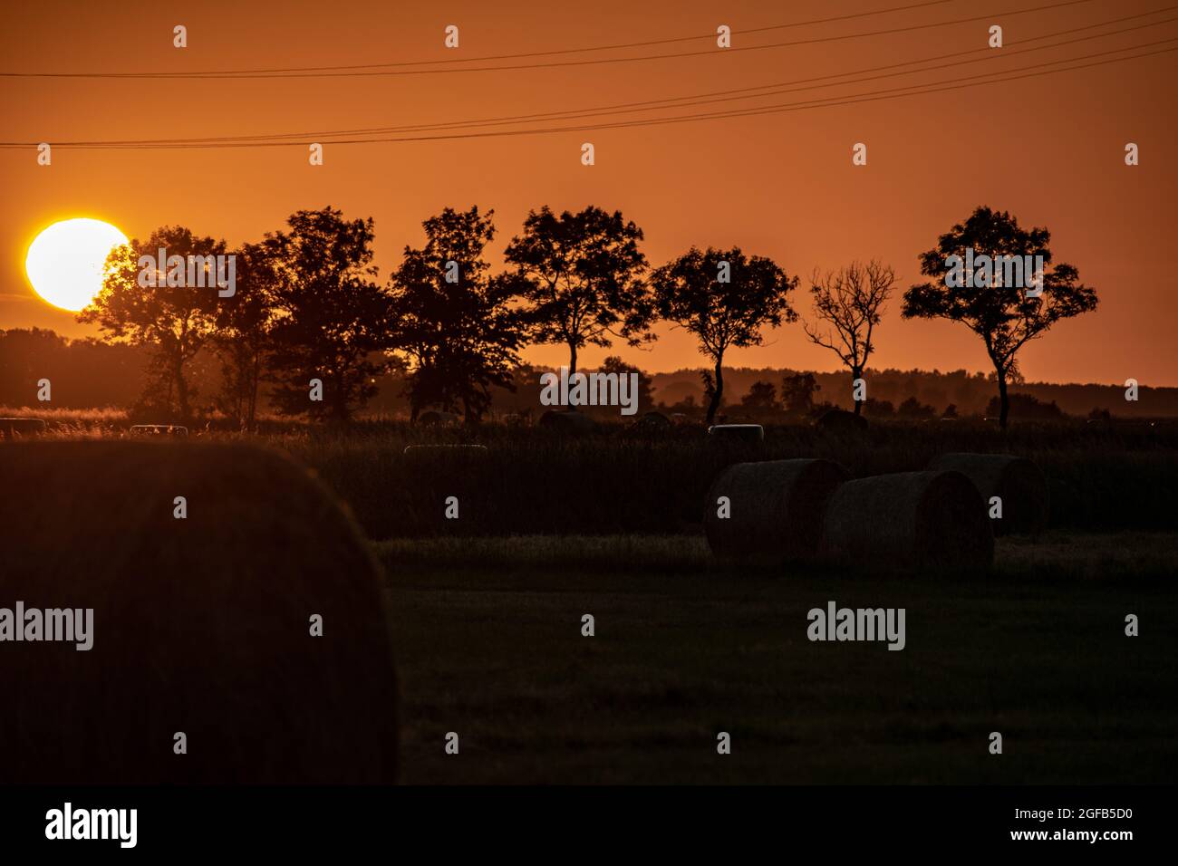 Beautiful view of a sandy field surrounded by trees gleaming against ...