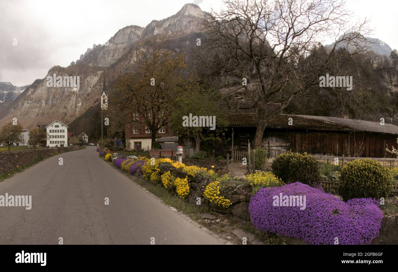 Spring flowers and homes in the Swiss village of Berschis Stock Photo ...