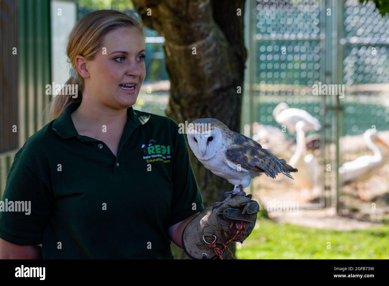 Raptor education group hi-res stock photography and images - Alamy
