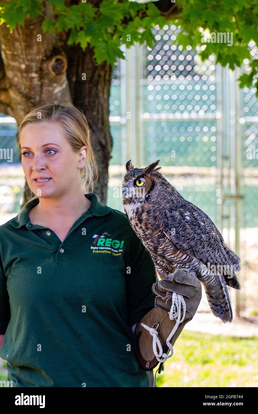Antigo, Wisconsin, USA, August 14, 2021: Educator for Raptor Education ...
