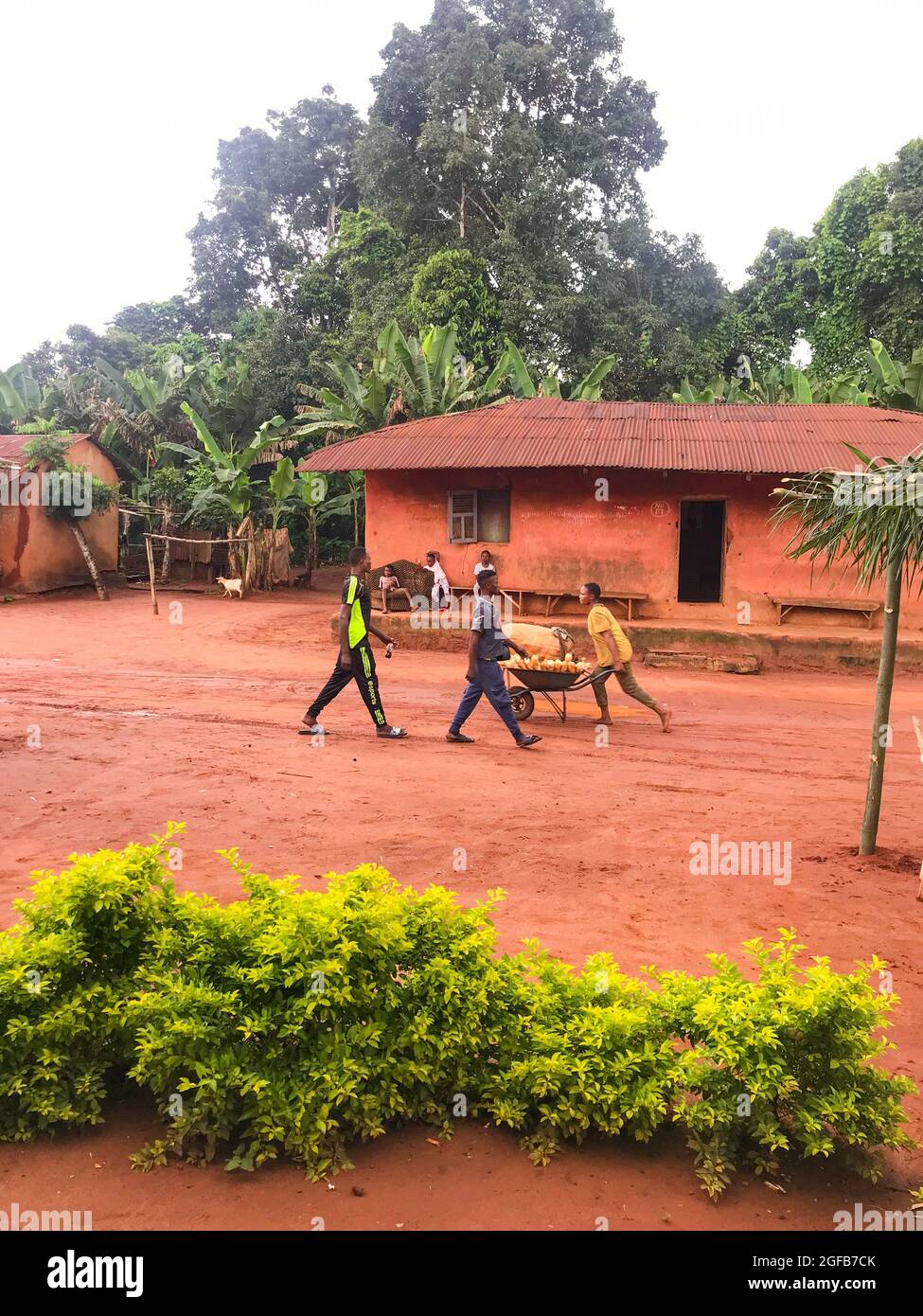 Mud houses Rural Area Village scene in Edo State, Nigeria, West Africa ...