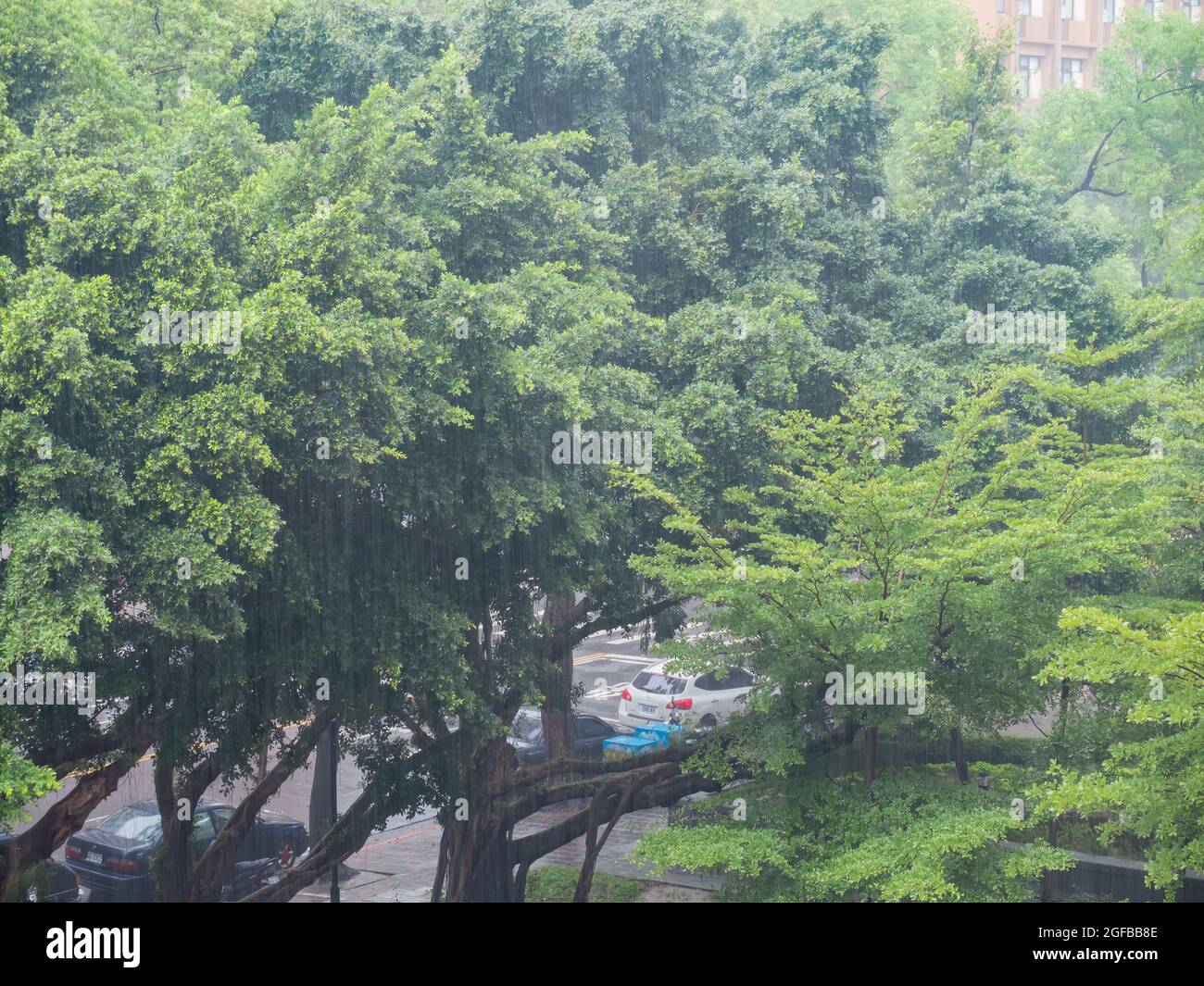 Downtown on rainy day hi-res stock photography and images - Alamy