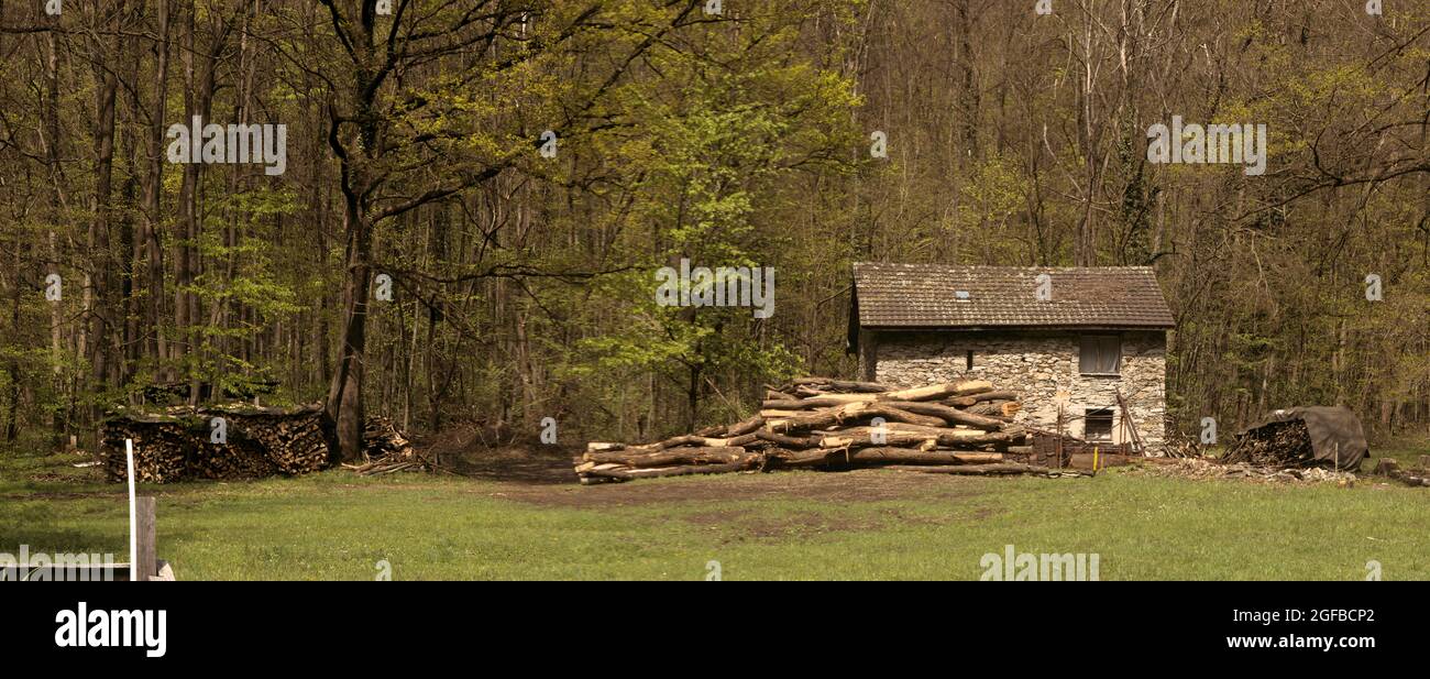 Barn and logs in Ticino, Switzerland Stock Photo - Alamy