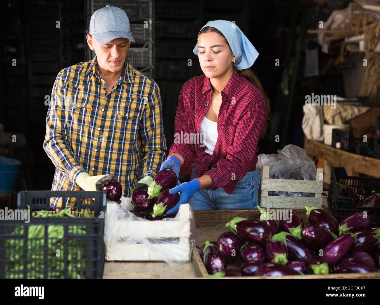 Two workers in vegetable warehouse Stock Photo - Alamy