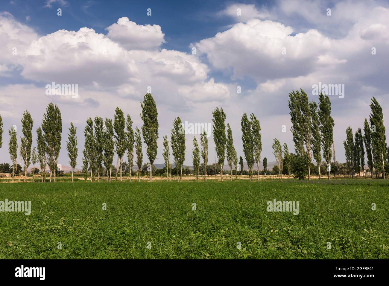 Persian Agriculture