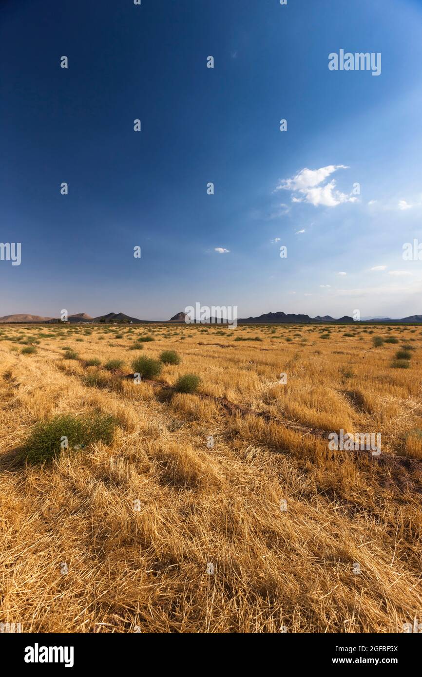 Mountains and fields of highland, northern suburb of Isfahan(Esfahan ...