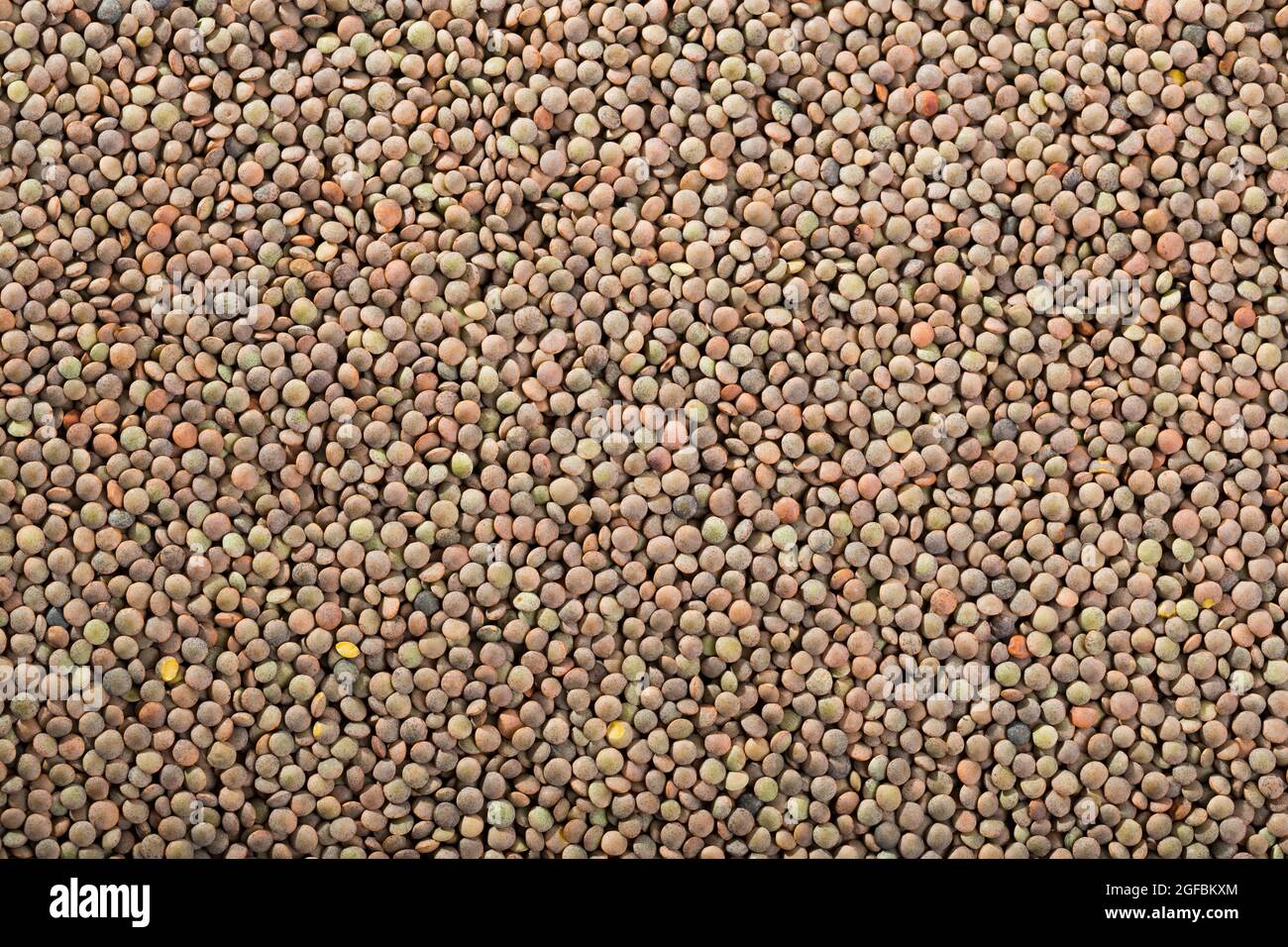 Lentil grains as background Stock Photo - Alamy
