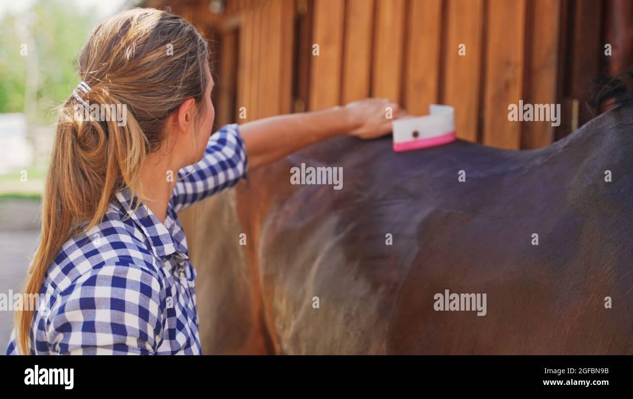 a young girl brushes a horse's back in a plaid shirt. High-quality ...