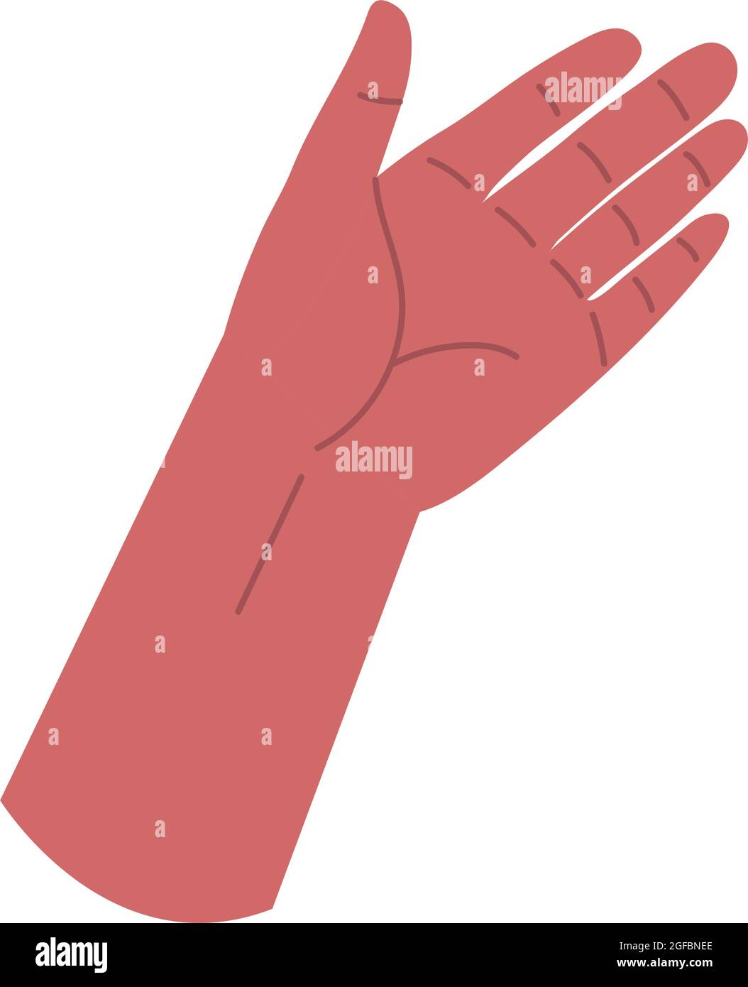 hand showing palm Stock Vector Image & Art - Alamy