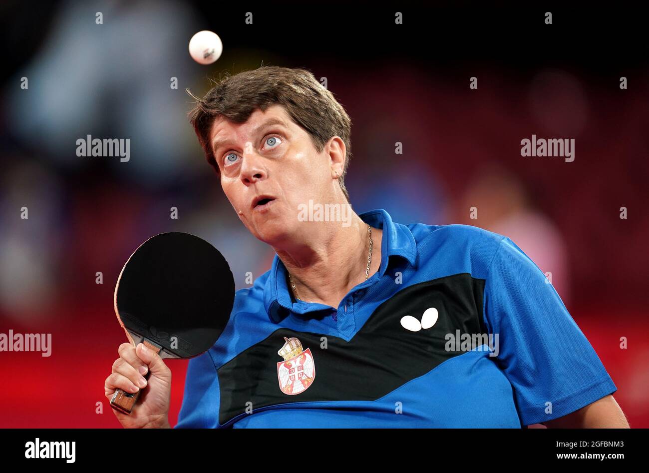 Peric rankovic hi-res stock photography and images - Alamy