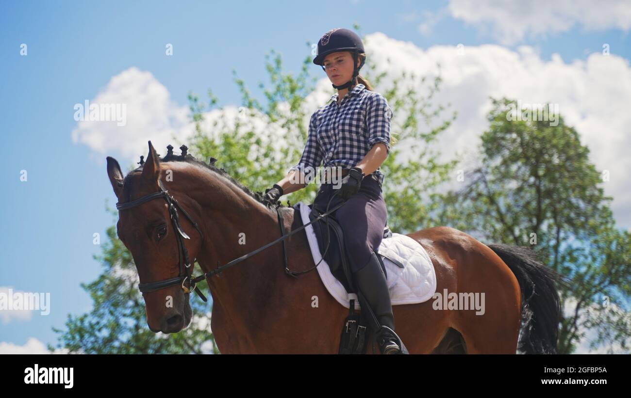 a young girl is sitting on a brown horse in nature near a tree. High ...