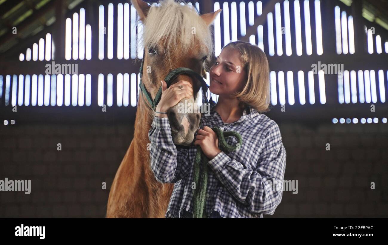 the young woman carefully caresses the horse's snout and holds it with ...