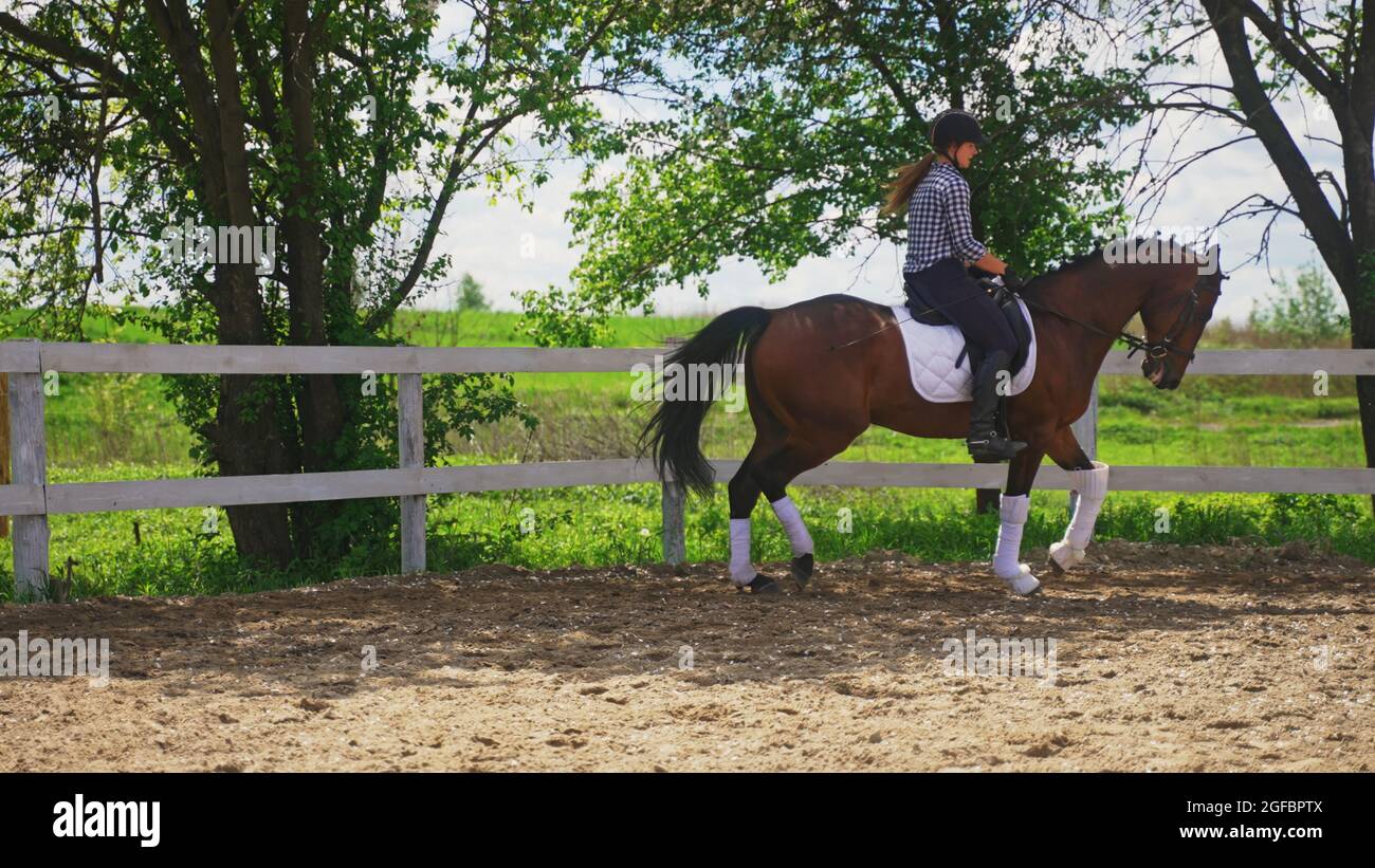a young girl is sitting on a horse under the canopy of trees in the ...