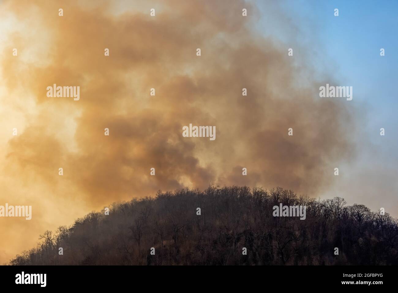 Indonesia forest fire fighter hi-res stock photography and images - Alamy