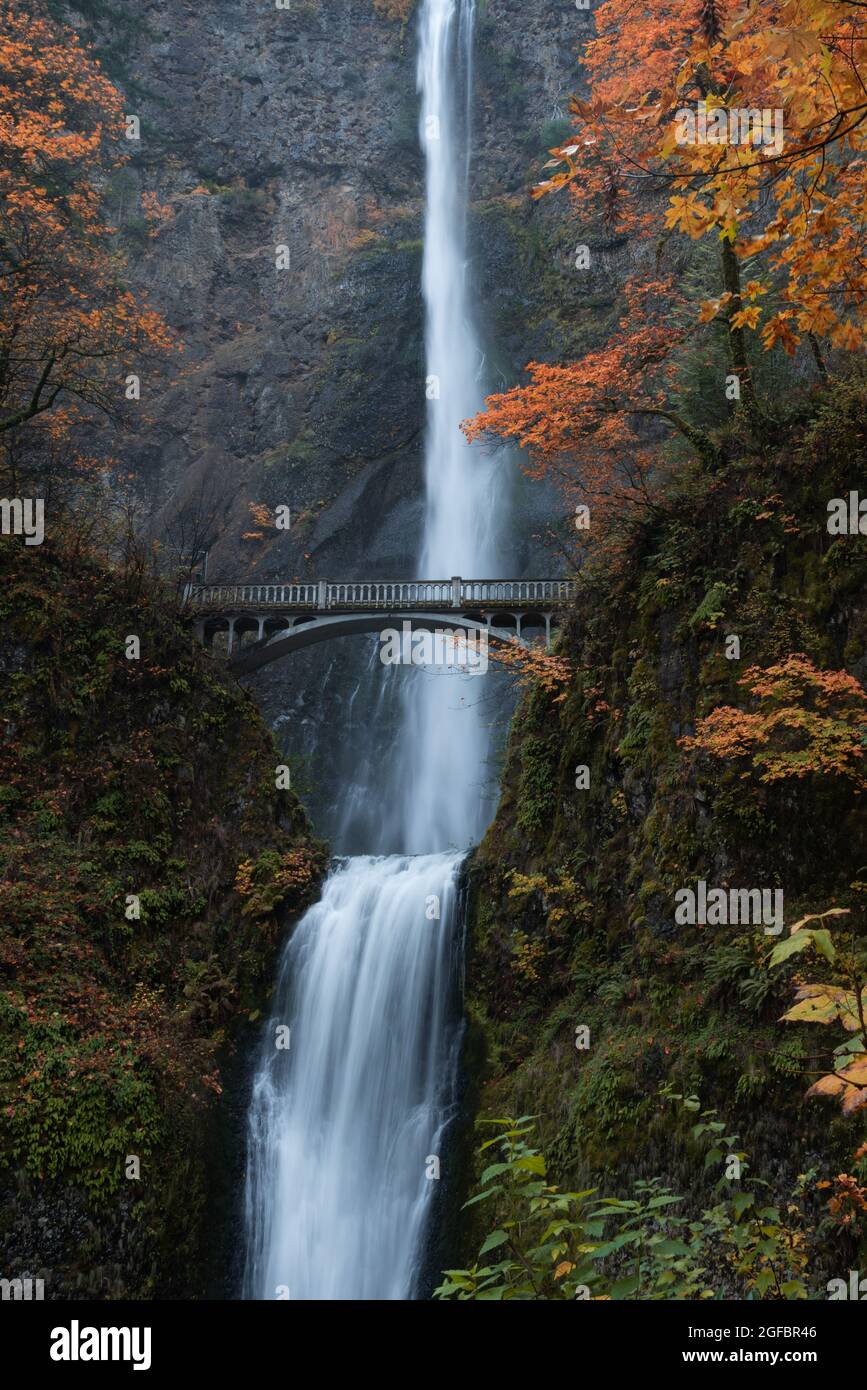 Majestic and beautiful Multnomah Falls during autumn fall season ...