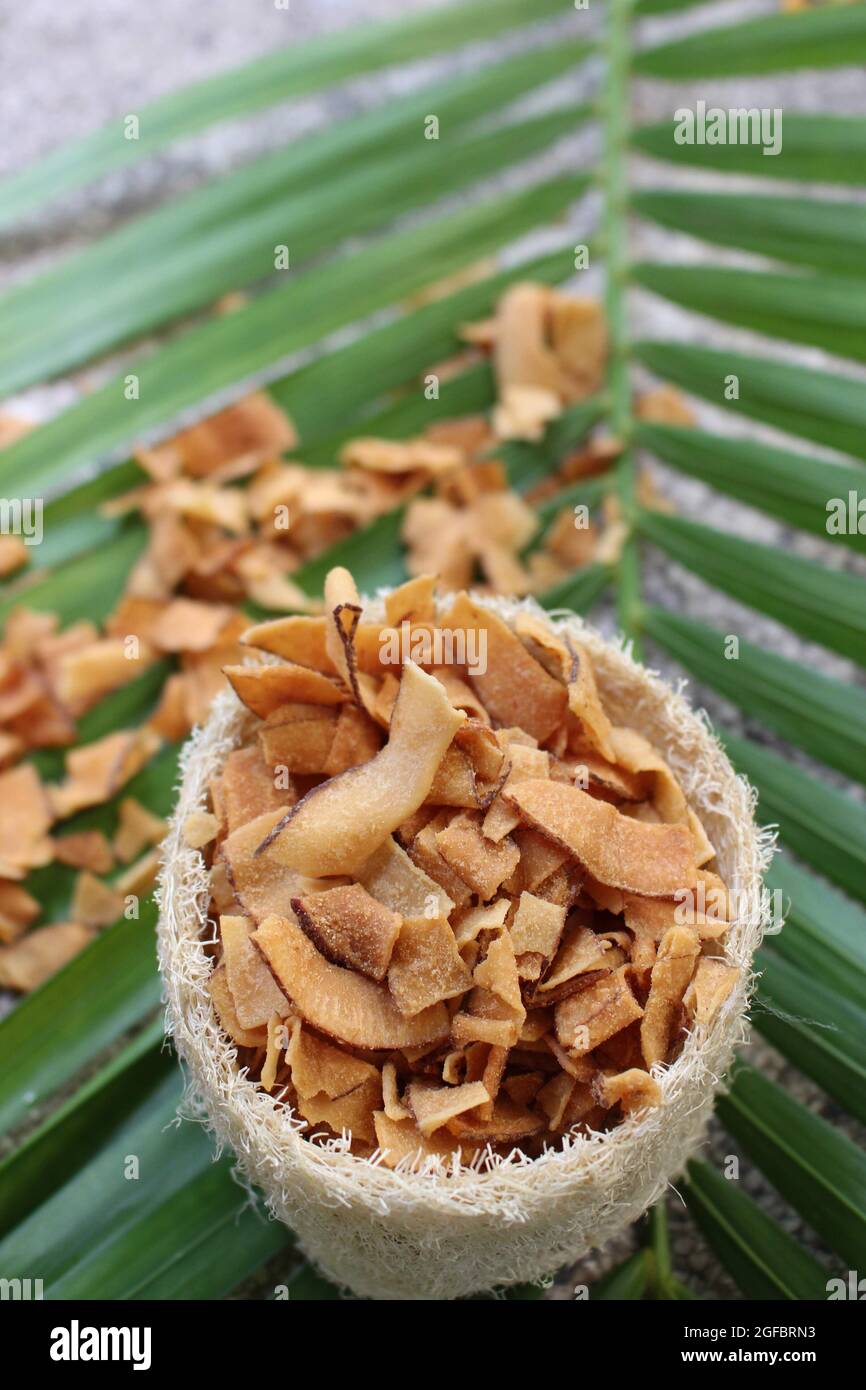 Dried coconut leaves hi-res stock photography and images - Alamy