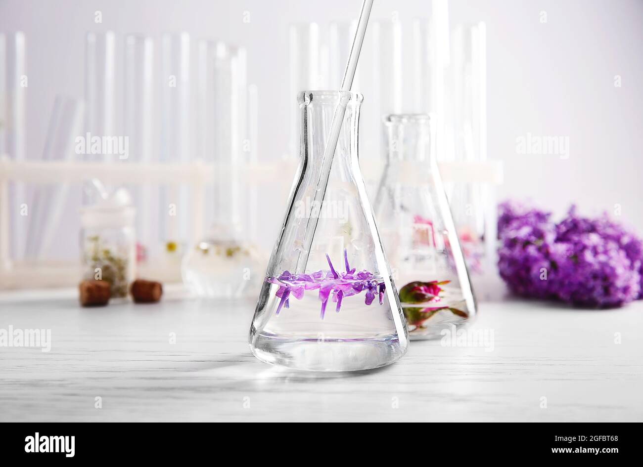 Process of making perfumes Stock Photo - Alamy