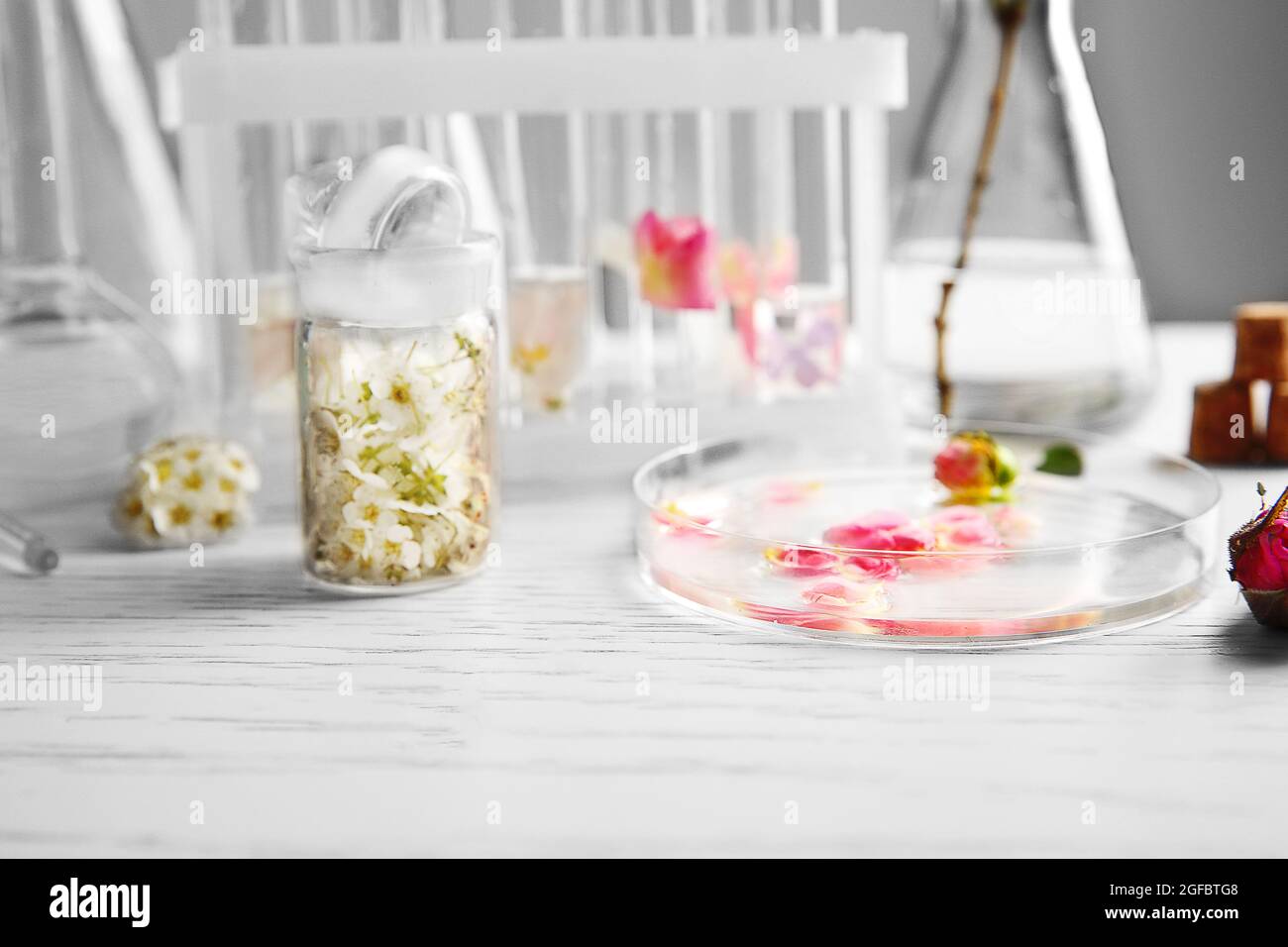 Process of making perfumes Stock Photo - Alamy