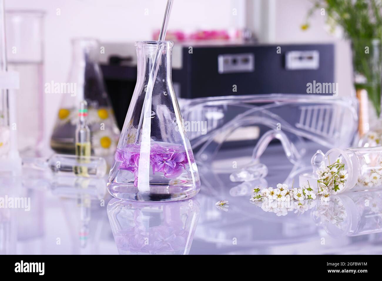 Process of making perfumes Stock Photo - Alamy
