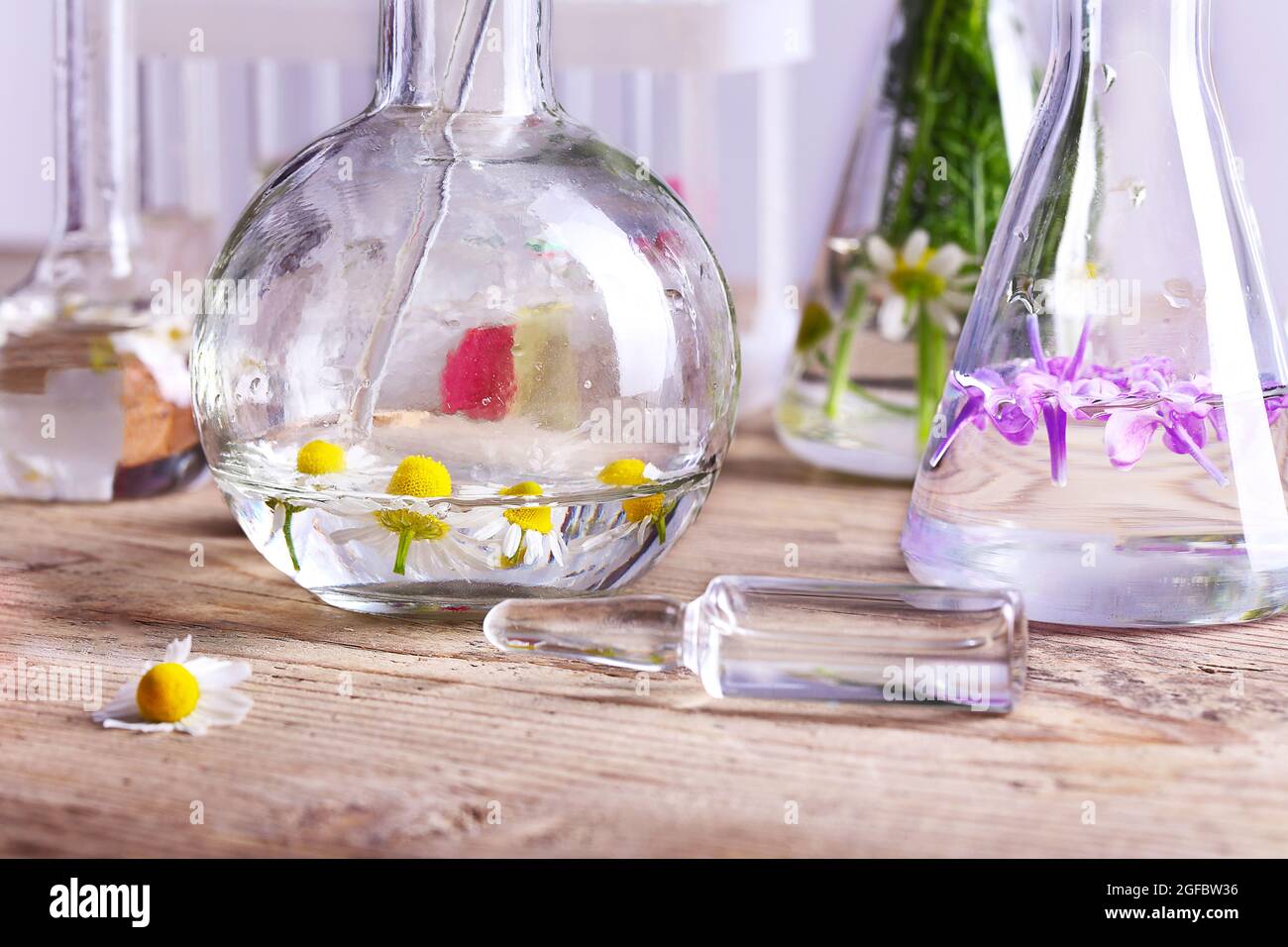 Process of making perfumes Stock Photo - Alamy