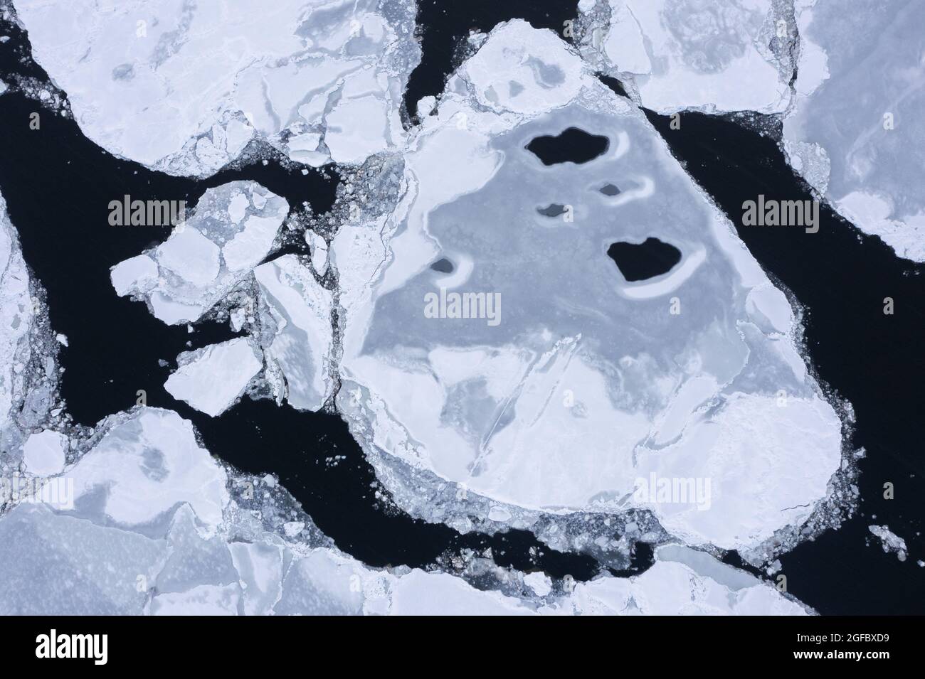 A sea ice field taken from the top Stock Photo - Alamy