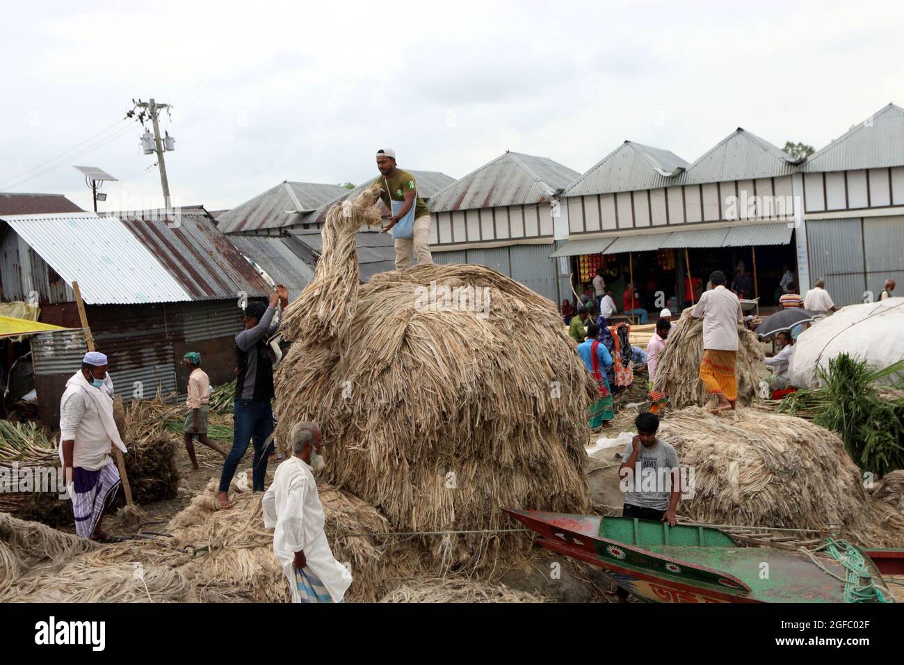 Jute farms hi-res stock photography and images - Alamy