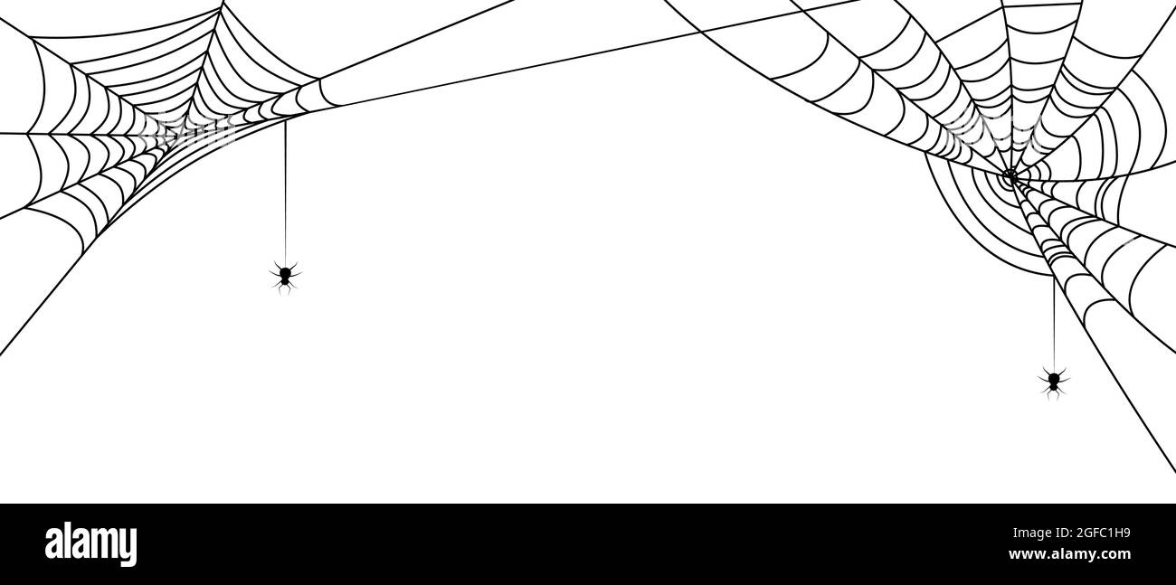 Halloween banner with spiderwebs and spiders. Vector illustration ...