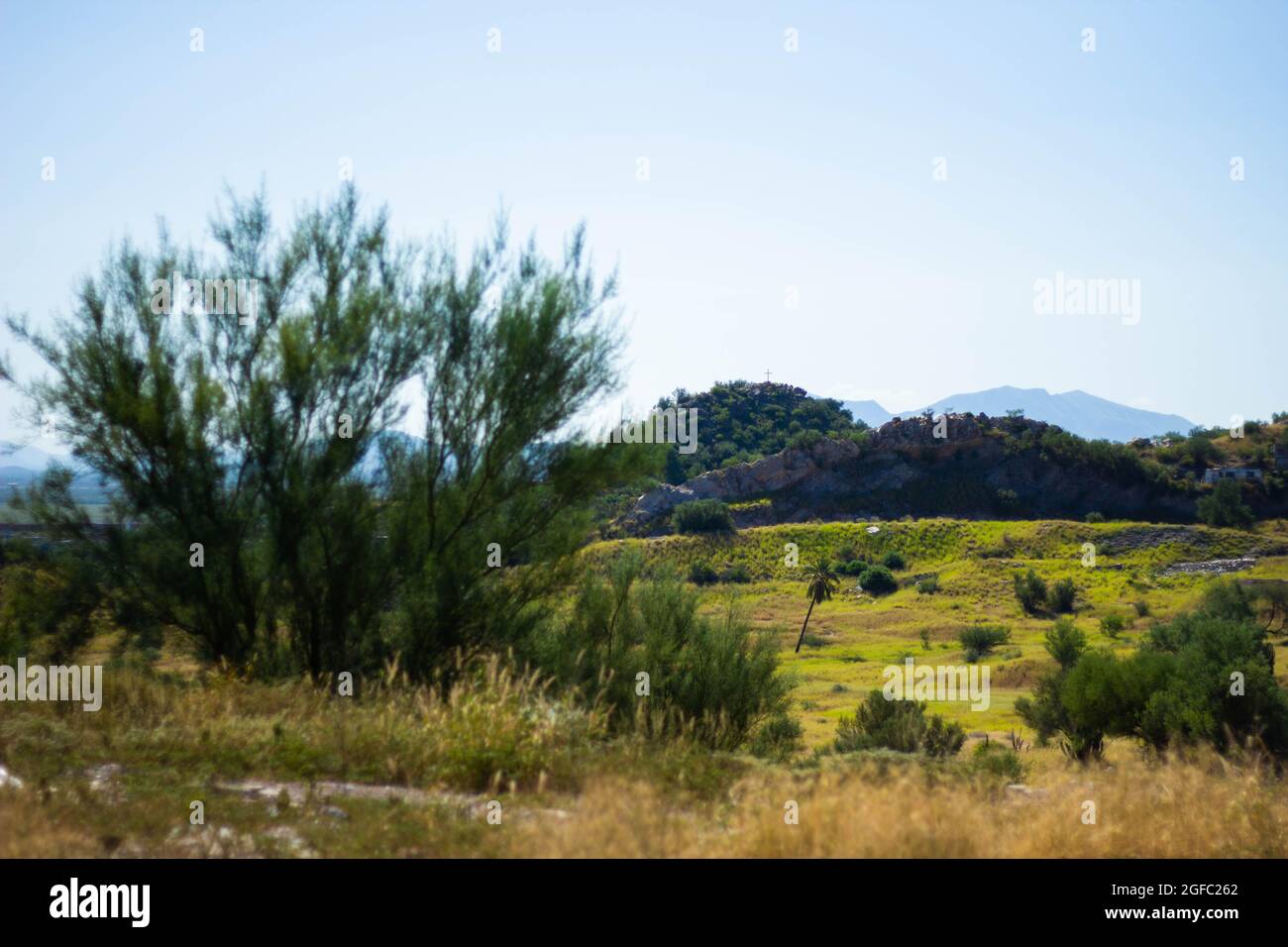Rural landscape in wasteland with green undergrowth in the Coloso Bajo ...