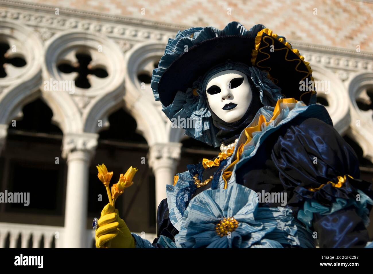 Elegant and evocative of the traditional masks of venice Italy carnival ...