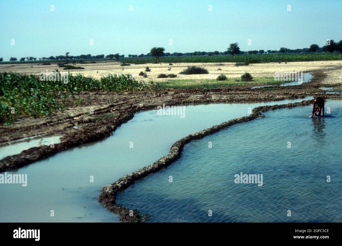 Farming punjab irrigation hi-res stock photography and images - Alamy