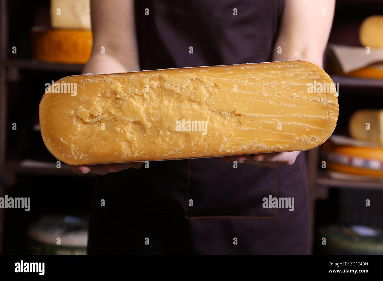 Woman holding a half wheel of fresh cheese Stock Photo - Alamy