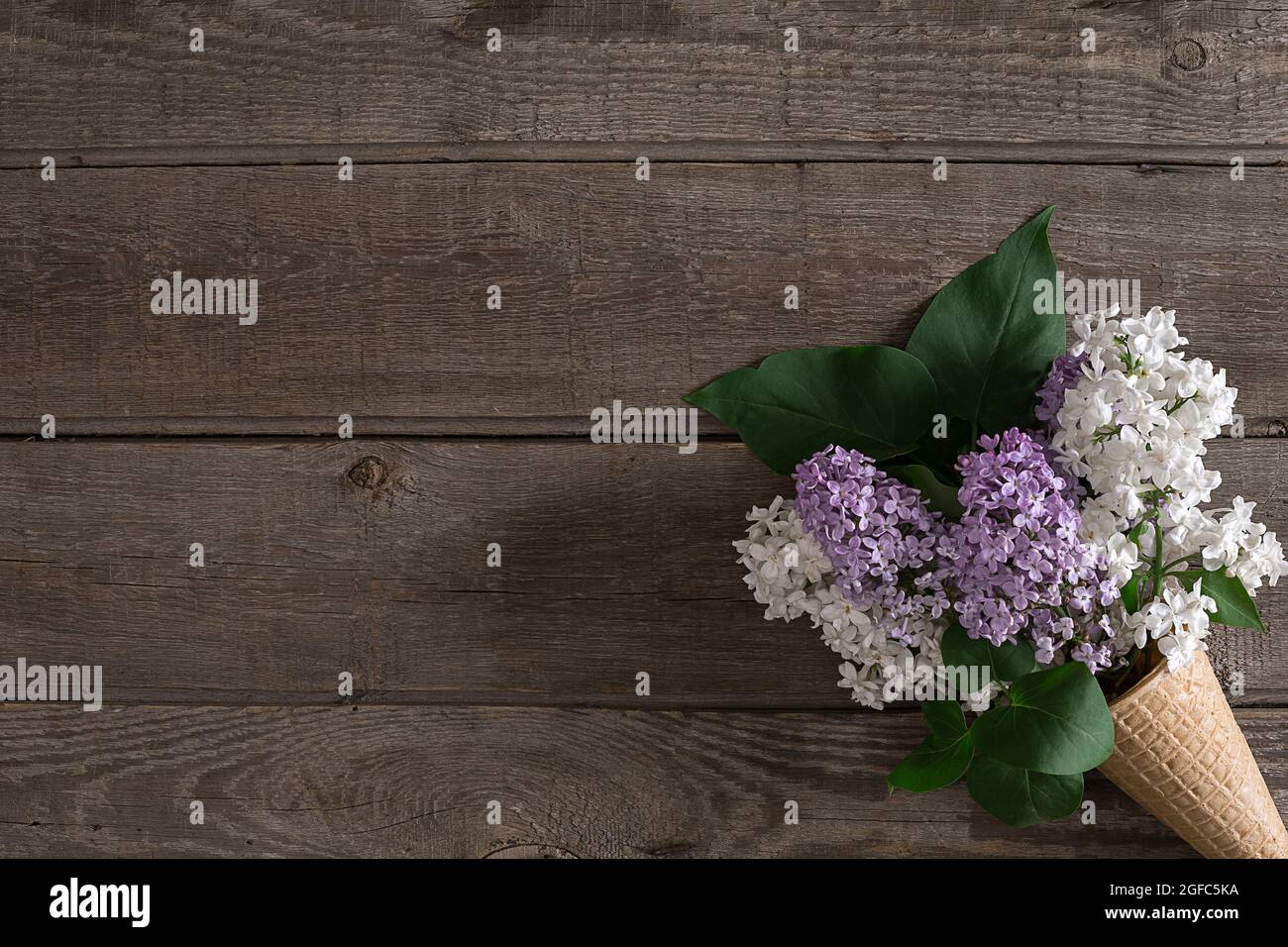 Lilac blossom on rustic wooden background with empty space for greeting ...